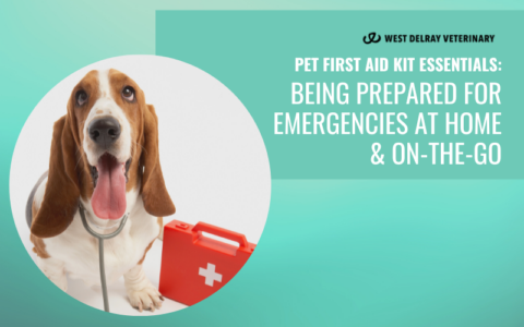 Pet First Aid Kit Essentials: Being Prepared For Emergencies At Home ...