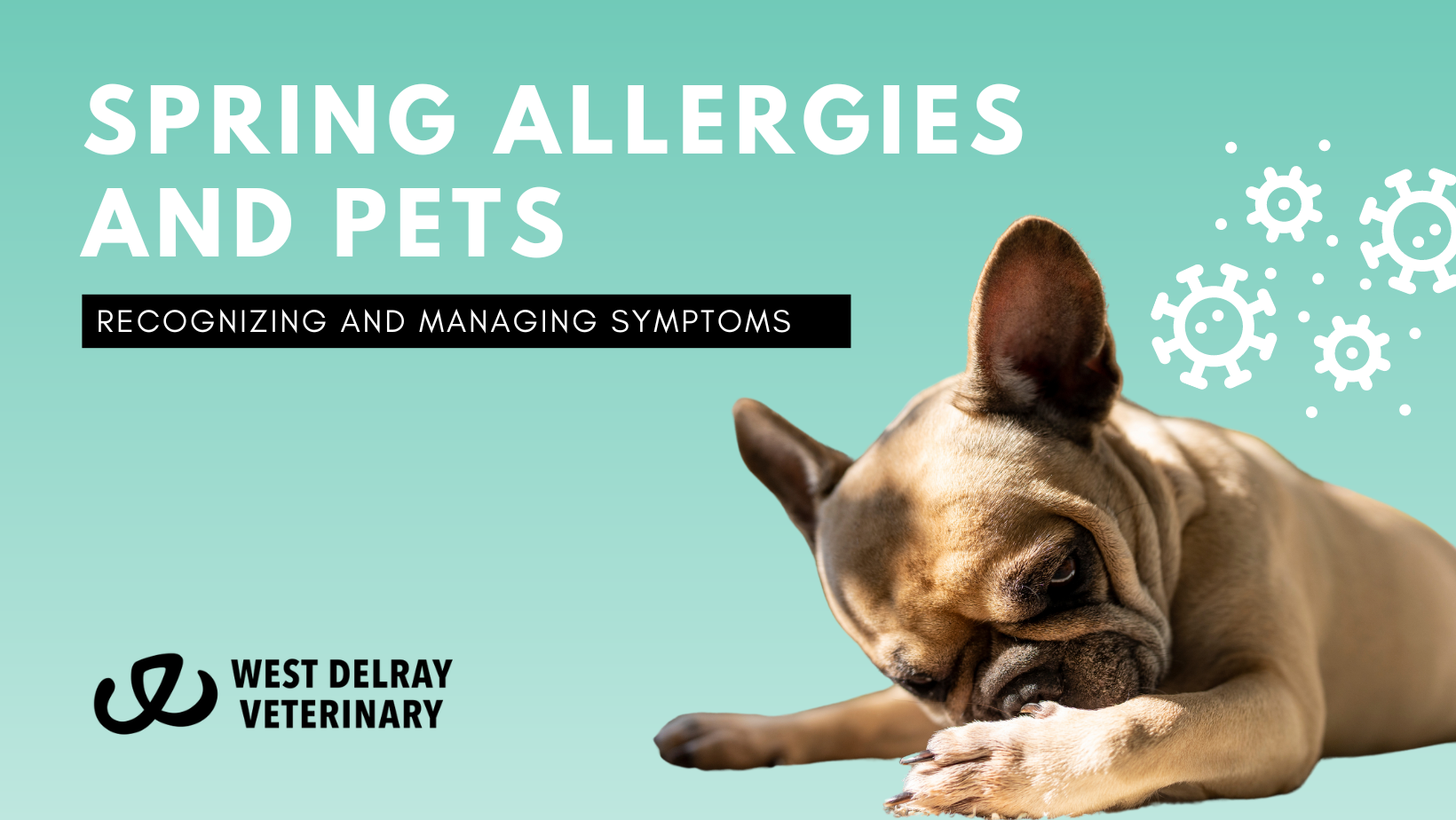 Spring Allergies And Pets - West Delray Veterinary